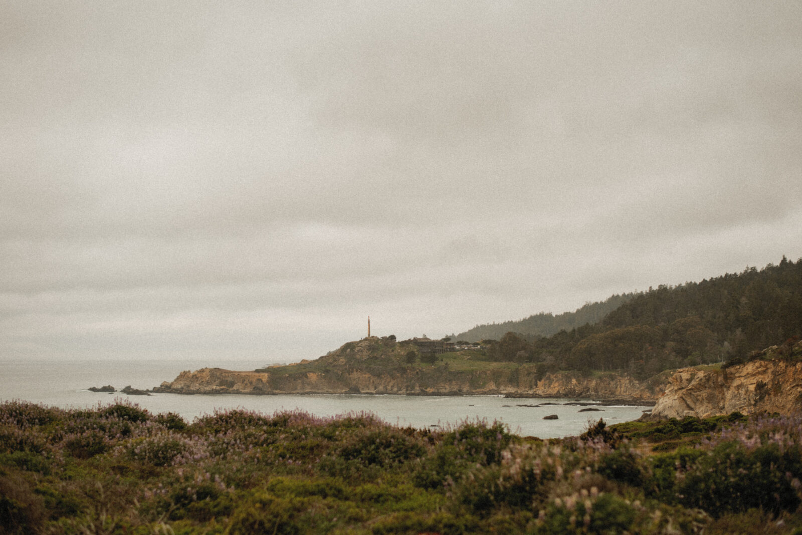 How to Elope at California's Stunning Timber Cove Resort